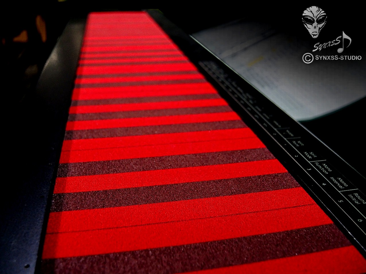 Aliens-Project » close up der Woche #24/17 -Haken Continuum Fingerboard